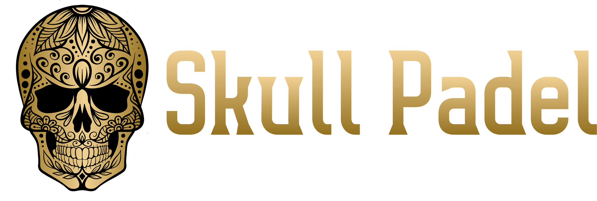 Racket Guide - Skull Padel